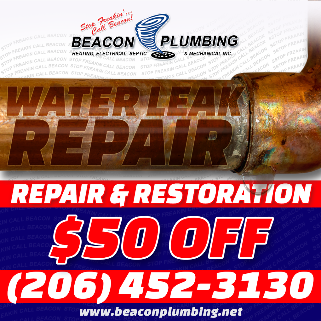 Fife Plumbing Leak Repair | Fast, Reliable Services | Beacon Plumbing